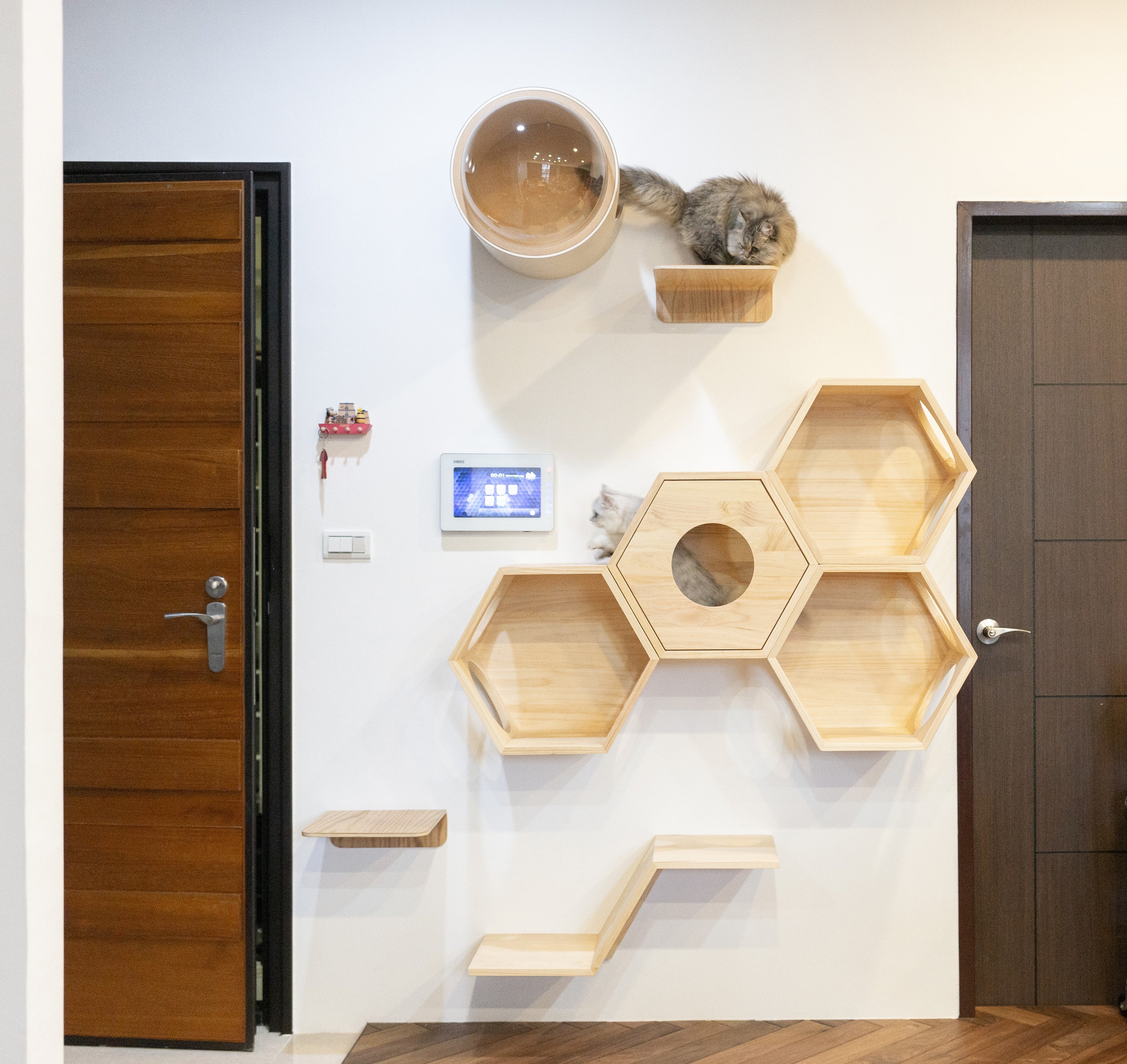 MYZOOキャットウォーク設置例：小スペースでも楽しみが無限に広がる