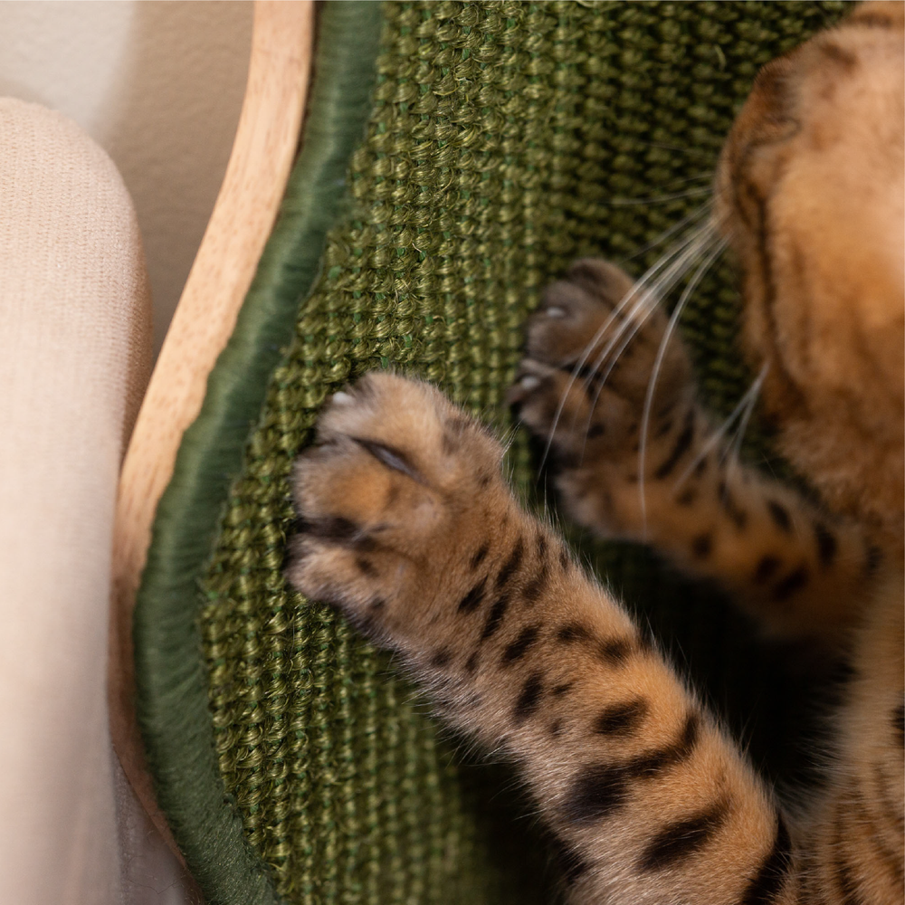 【壁付けタイプ猫用爪とぎ】MYZOO-Seaweed