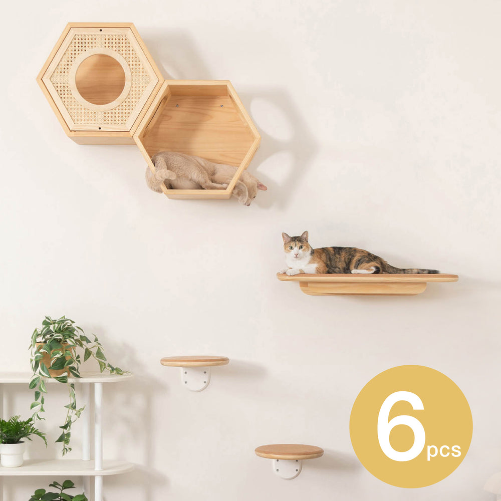 MYZOO-お得なセット商品