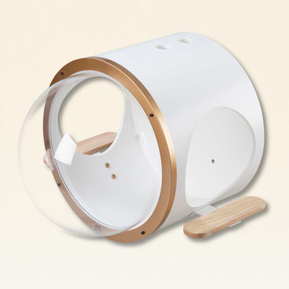 MYZOO-新商品•再入荷