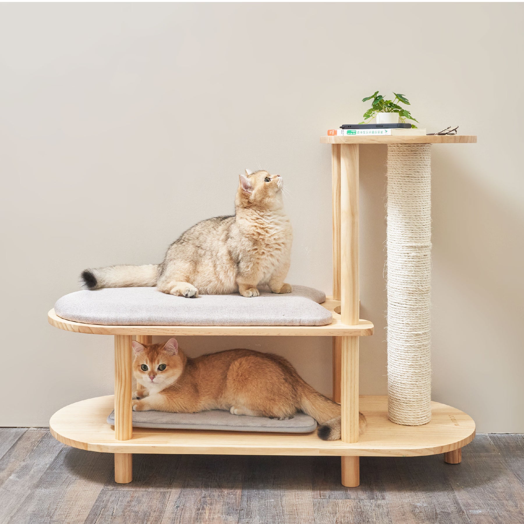 床置き商品 | On the Floor