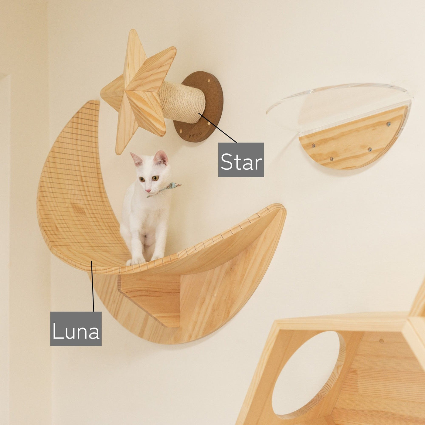 MYZOO-お得なセット商品