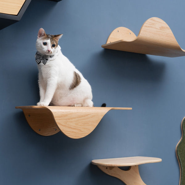 【キャットステップ】MYZOO-STINGRAY