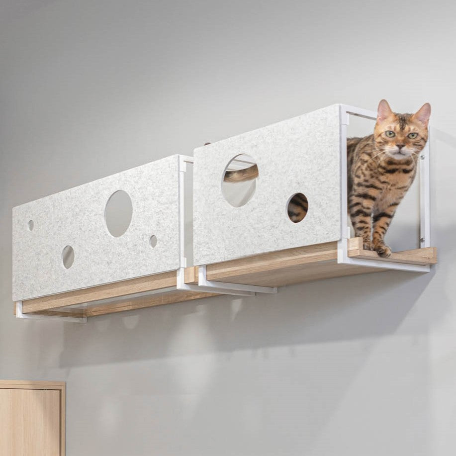 【AVENUEハウスオプション/猫の隠れ家】MYZOO-AVENUE COVER