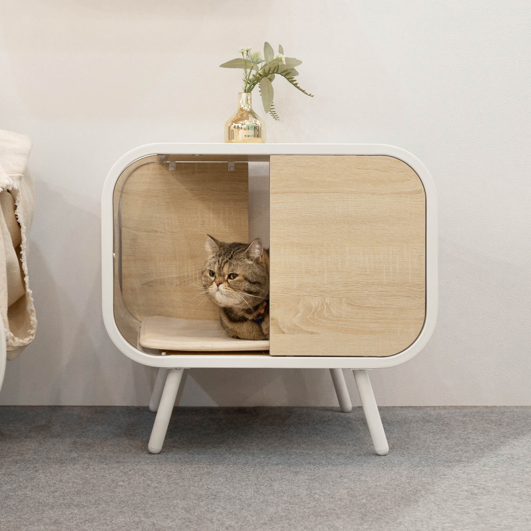 MYZOO-新商品•再入荷