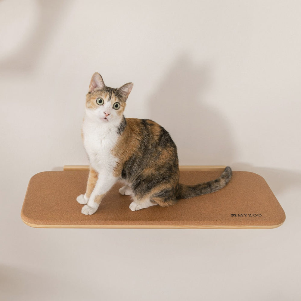 MYZOO-新商品•再入荷