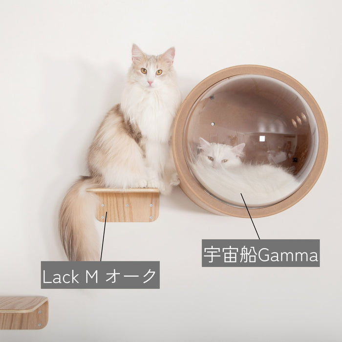 MYZOO | キャットステップ･猫用ベッド通販