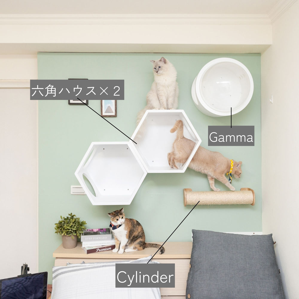 MYZOO-新商品•再入荷