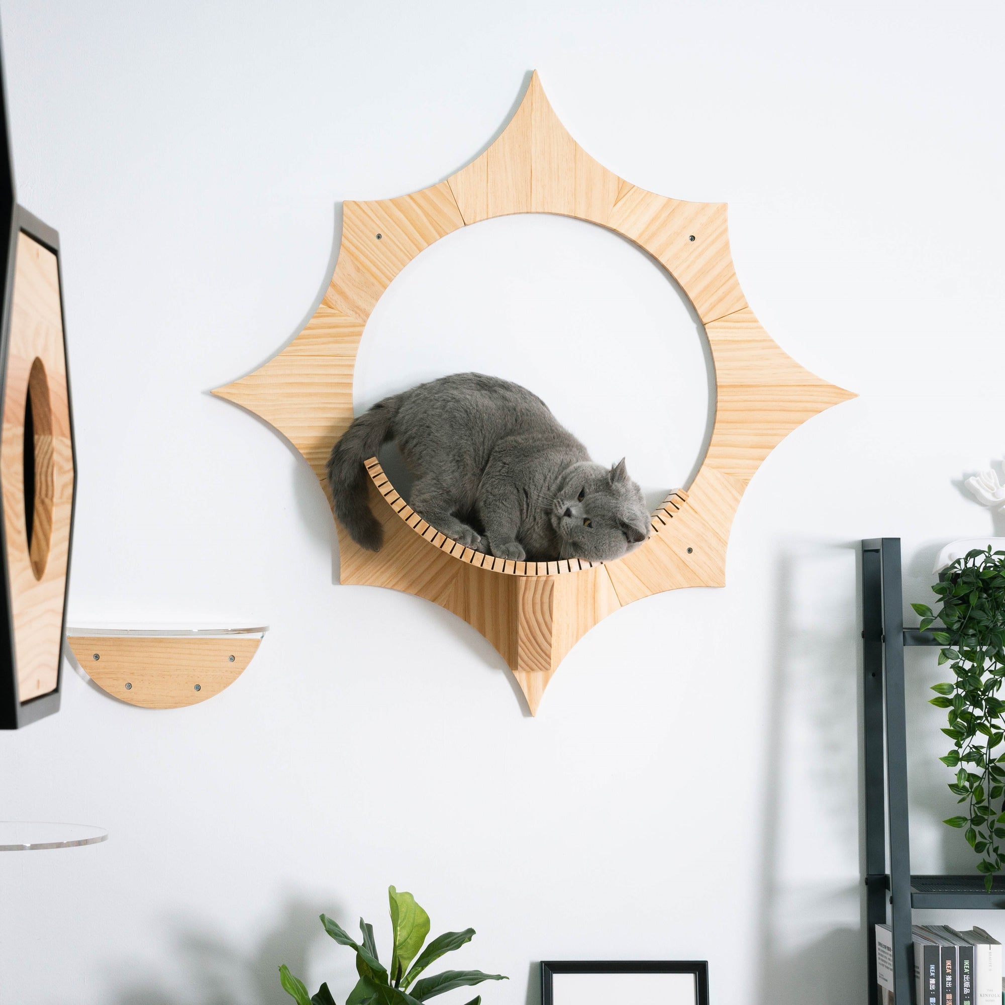 【キャットステップ】MYZOO-Solar