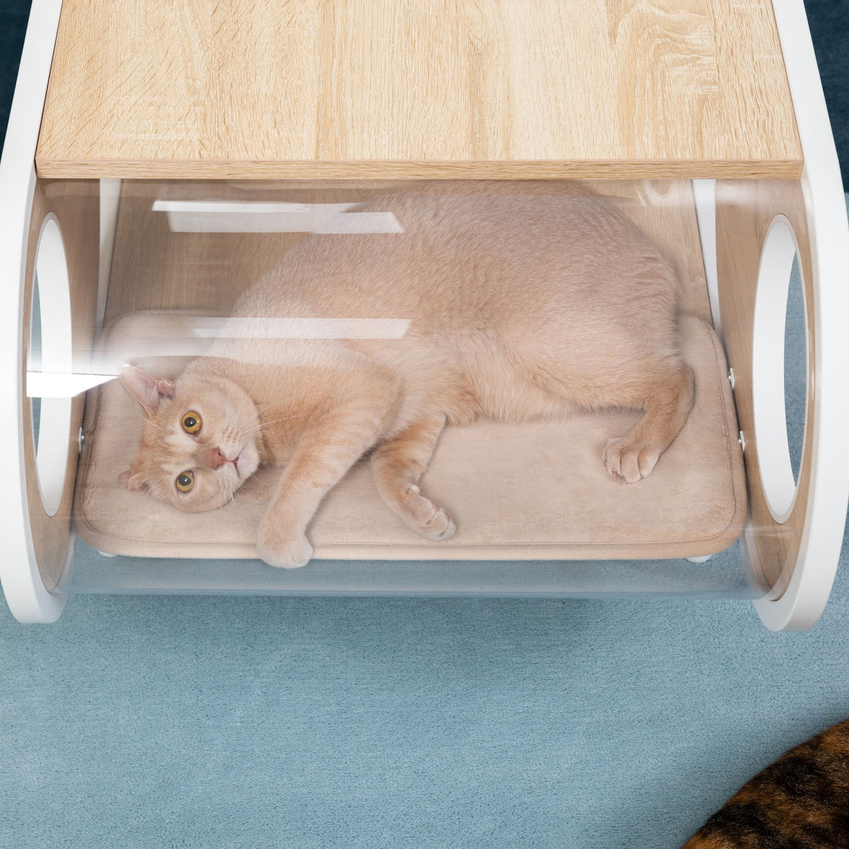 MYZOO | キャットステップ･猫用ベッド通販