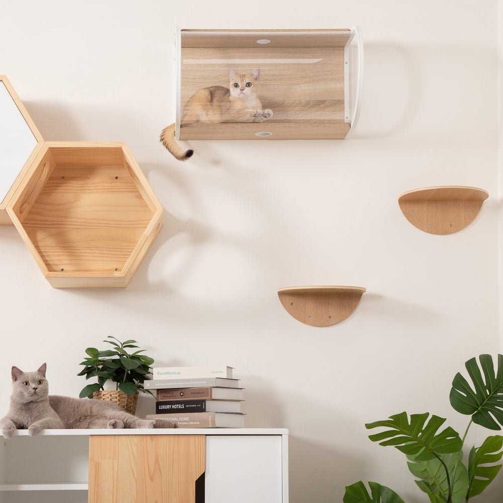 【キャットステップ】MYZOO-Tunnel