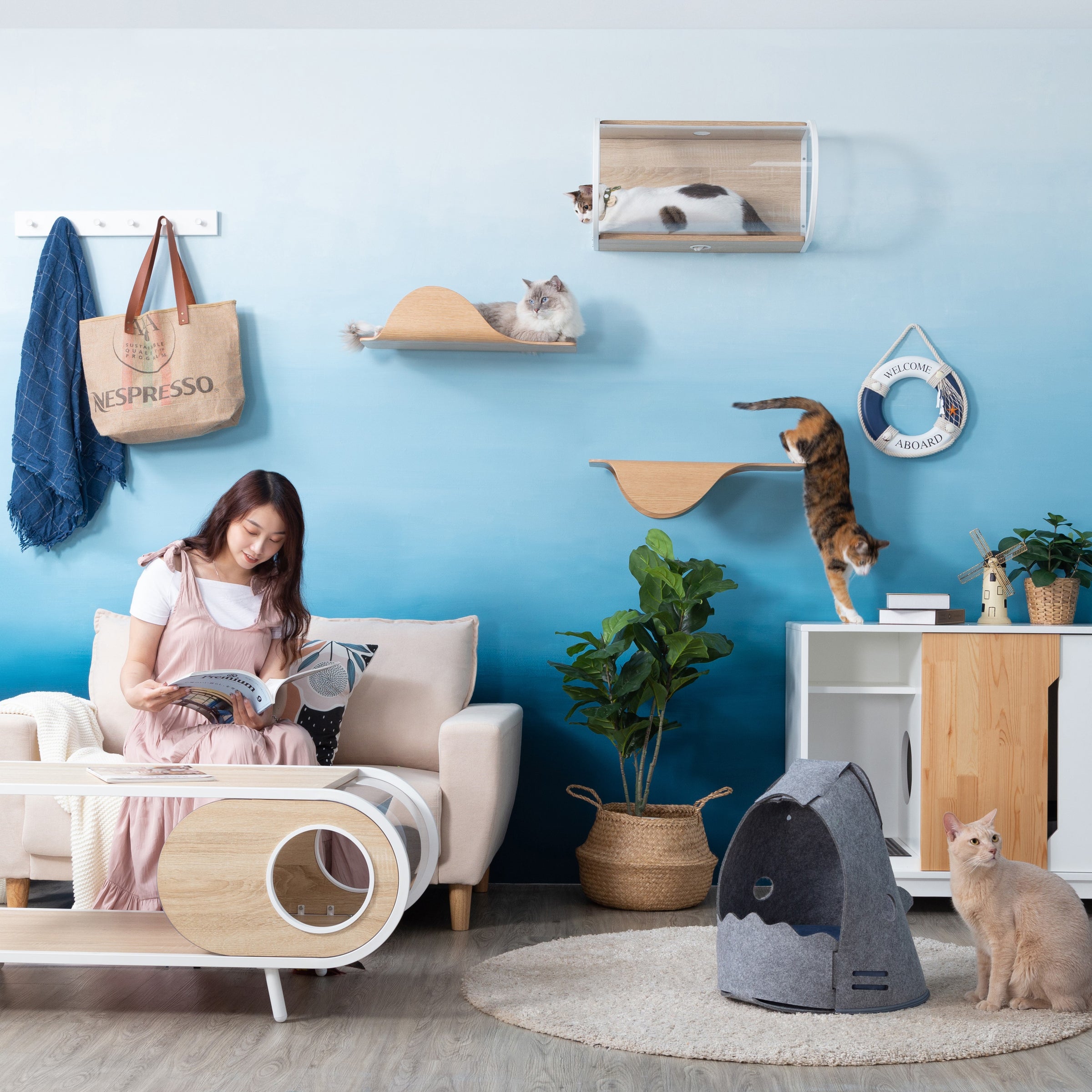 【キャットステップ】MYZOO-STINGRAY