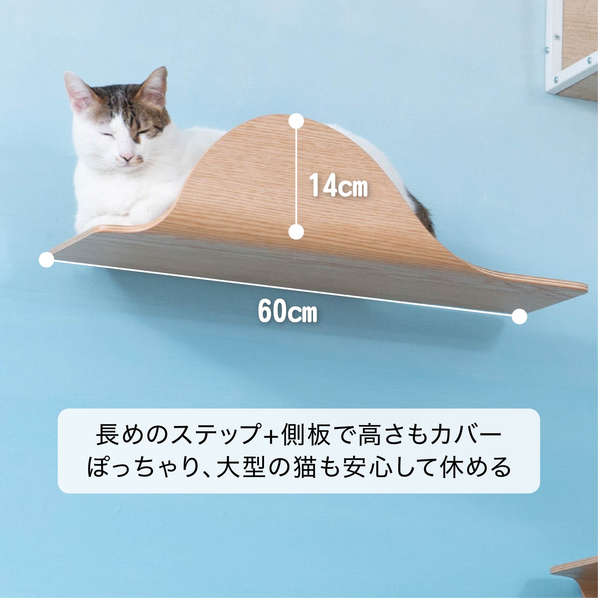 【キャットステップ】MYZOO-STINGRAY