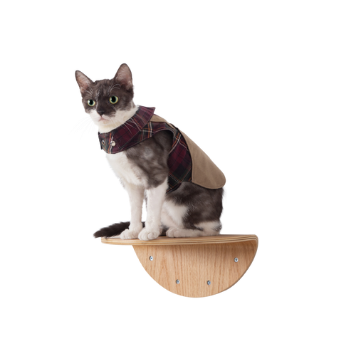 【キャットステップ】MYZOO-ROUND LACK(2pcs)