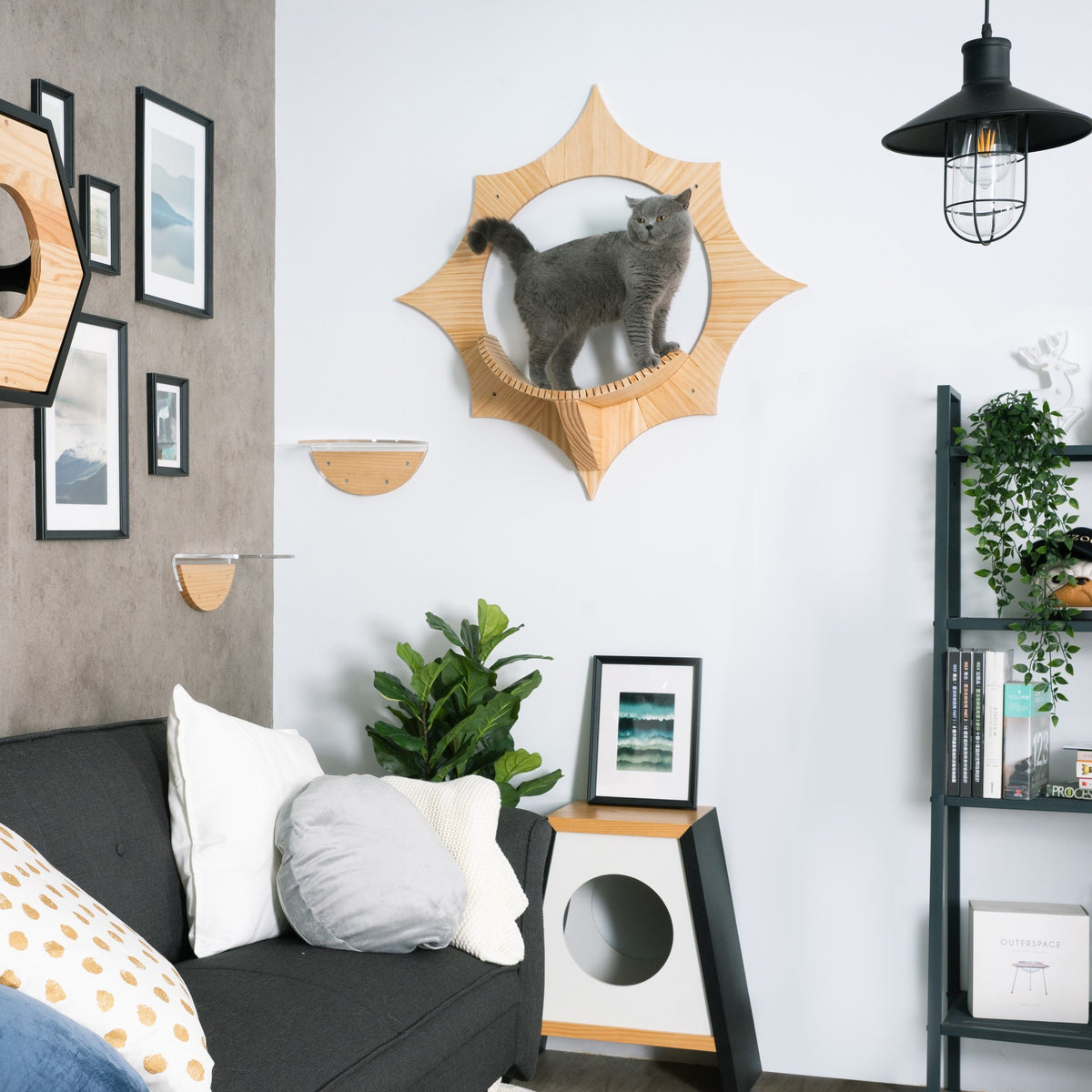 【キャットステップ】MYZOO-Solar