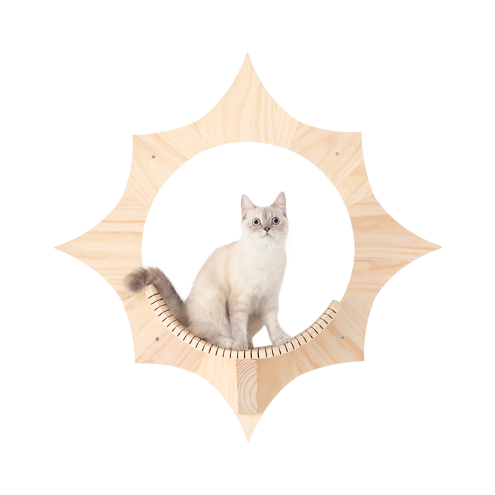 【キャットステップ】MYZOO-Solar