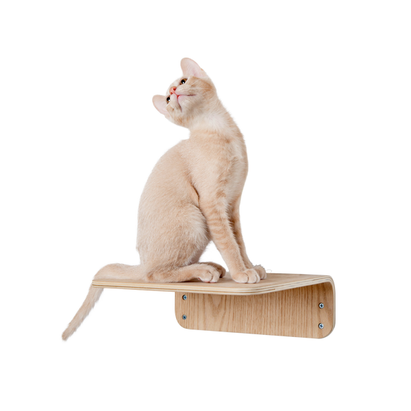 【キャットステップ】MYZOO-LACK( 2pics）（全3色）