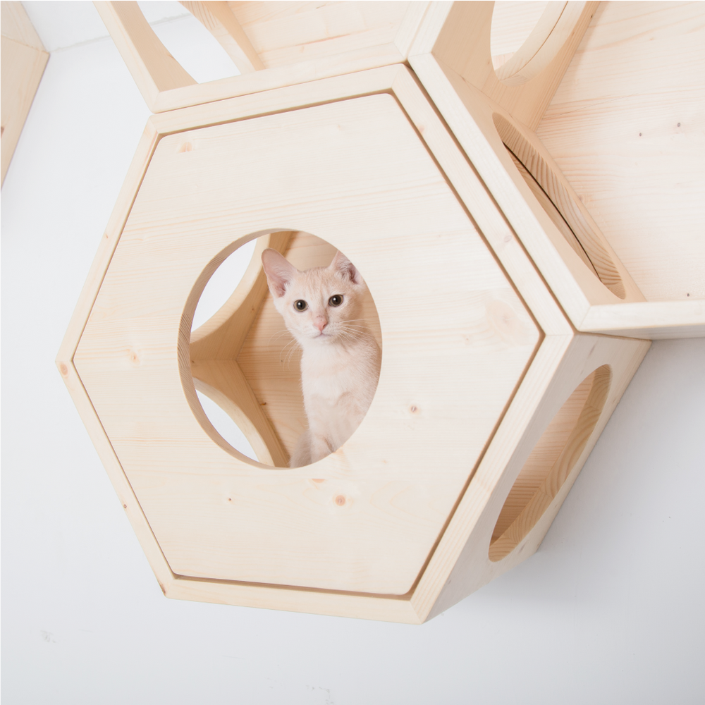 MYZOO-キャットステップ