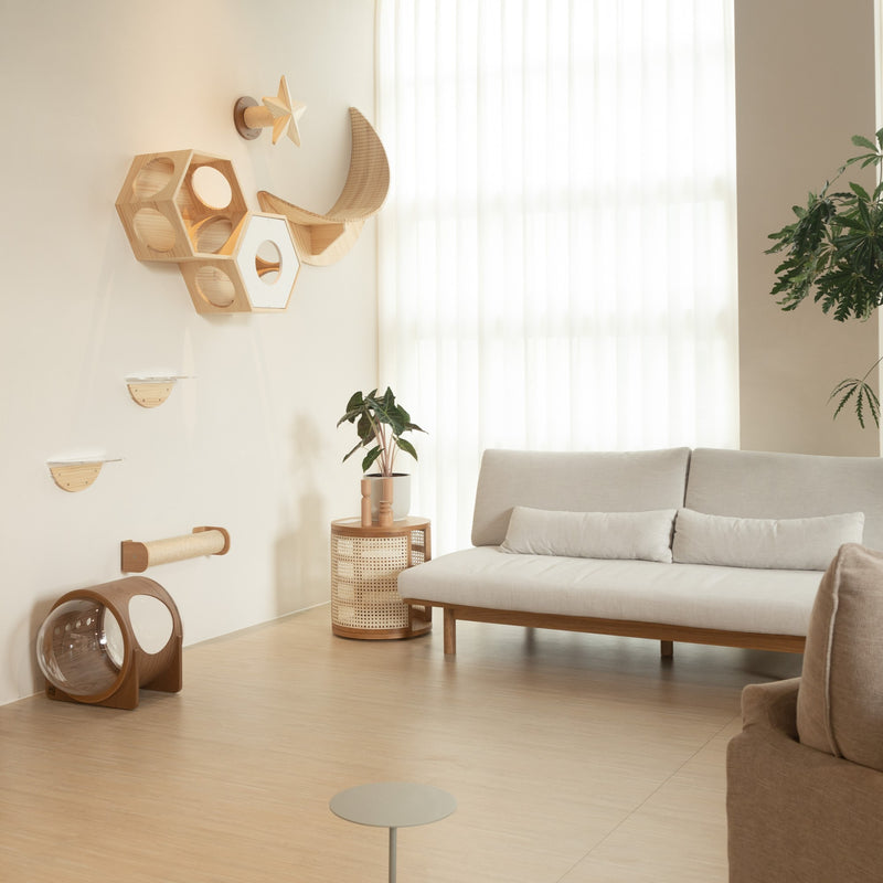 MYZOO-新商品•再入荷